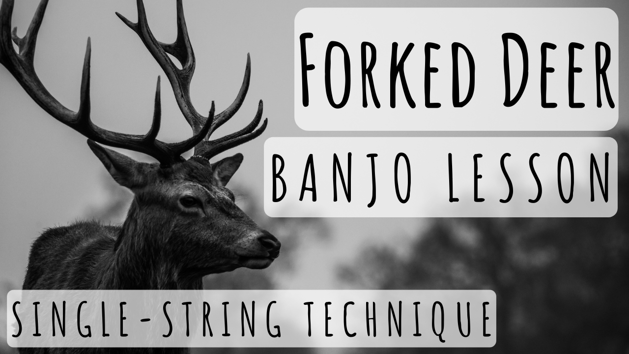 Forked Deer (V2): Banjo Lesson - Pickin' Lessons